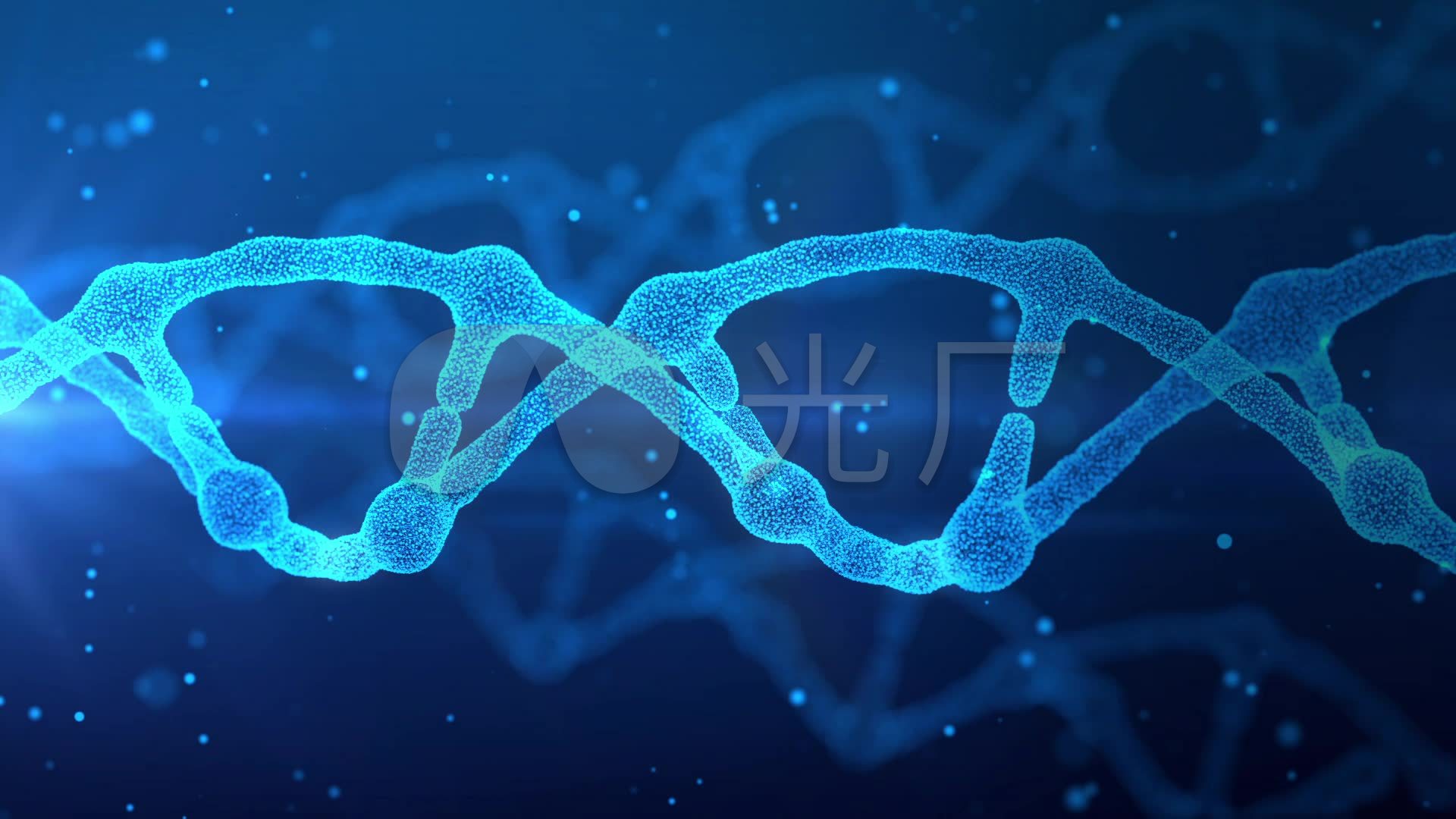 基因链dna1920x1080高清视频素材下载编号2924384实拍视频光厂vj师网