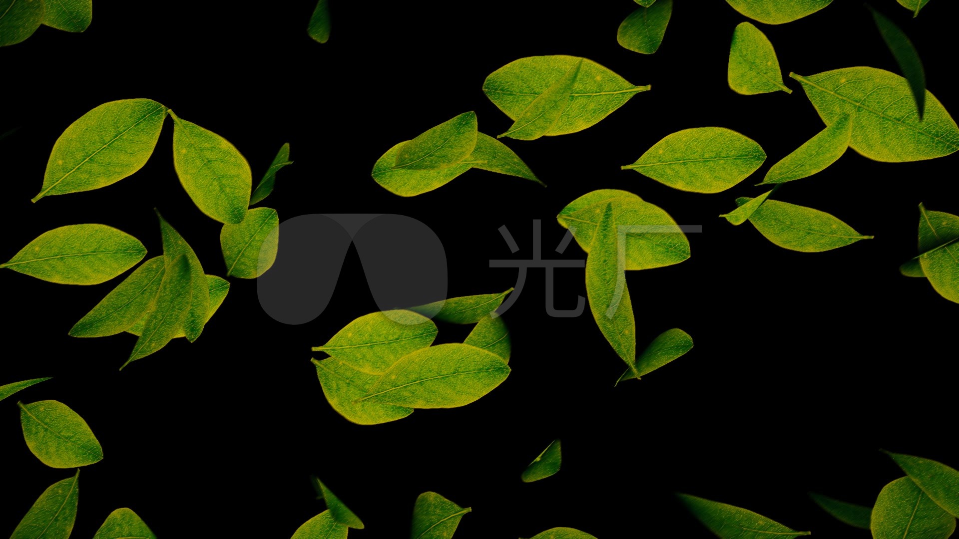 树叶飘落的轨迹图画树叶怎么画第3页大山谷图库 