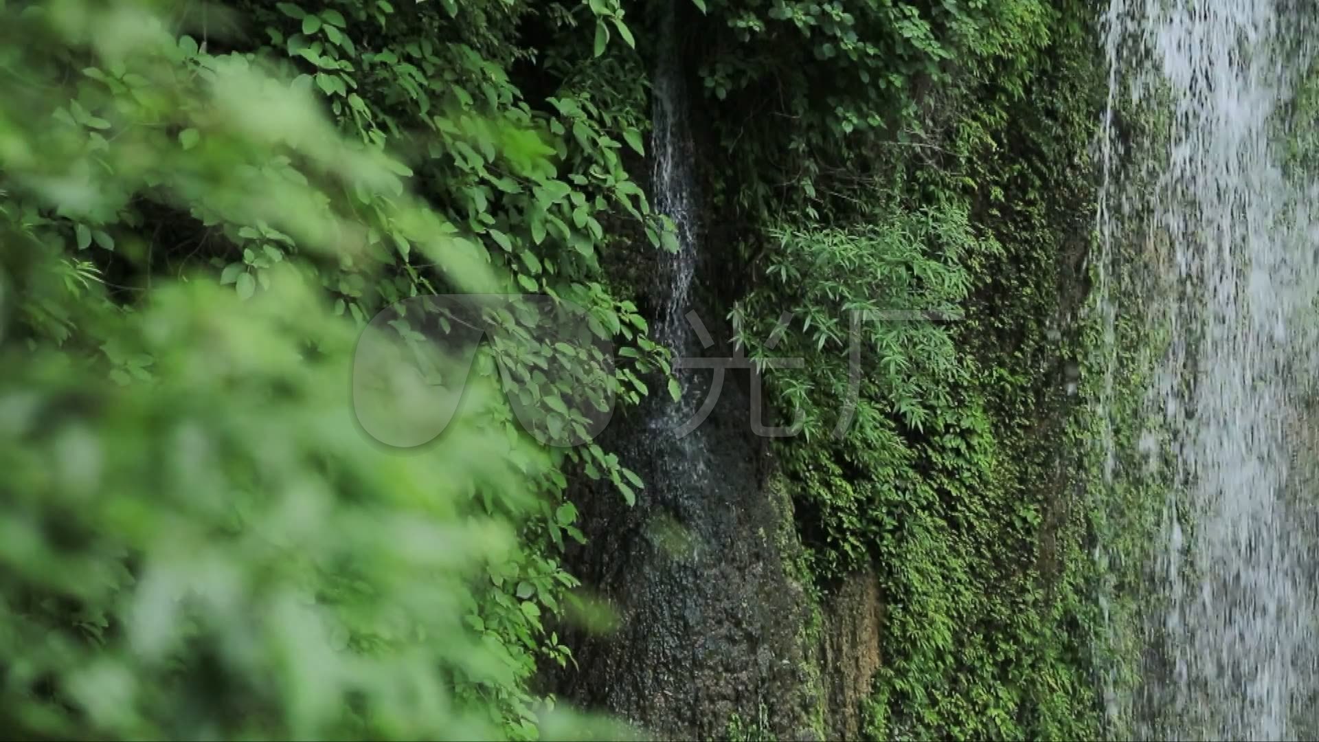 深山采药人1920x1080高清视频素材下载编号5624995实拍视频光厂vj师网