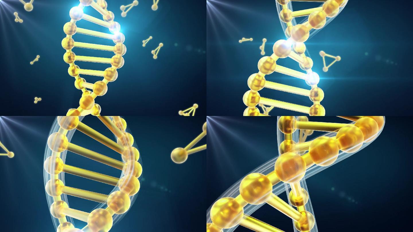 C4D_dna螺旋分子AE工程_三维动画_AE模板下载