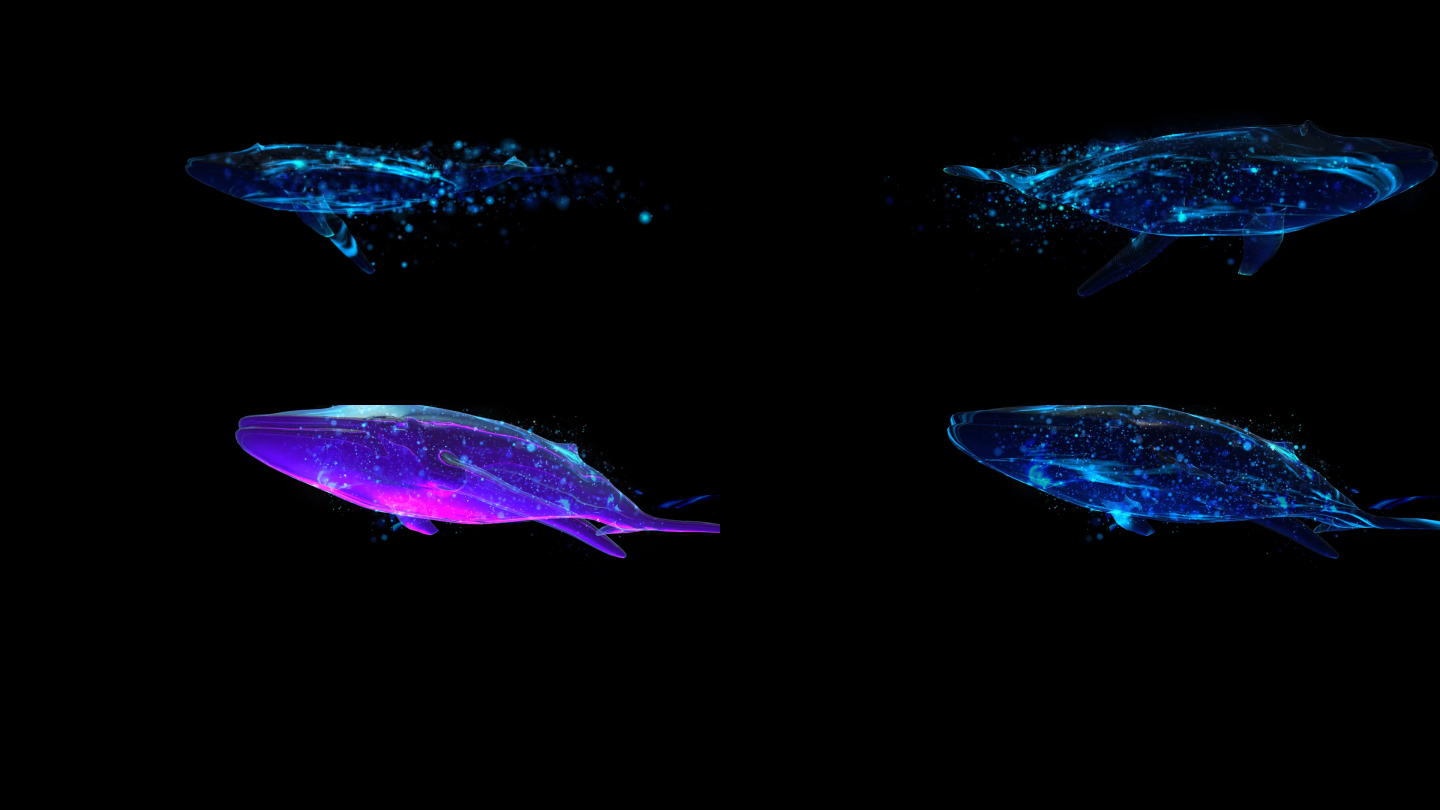 粒子鲸鱼_e3d_ae模板_AE模板下载