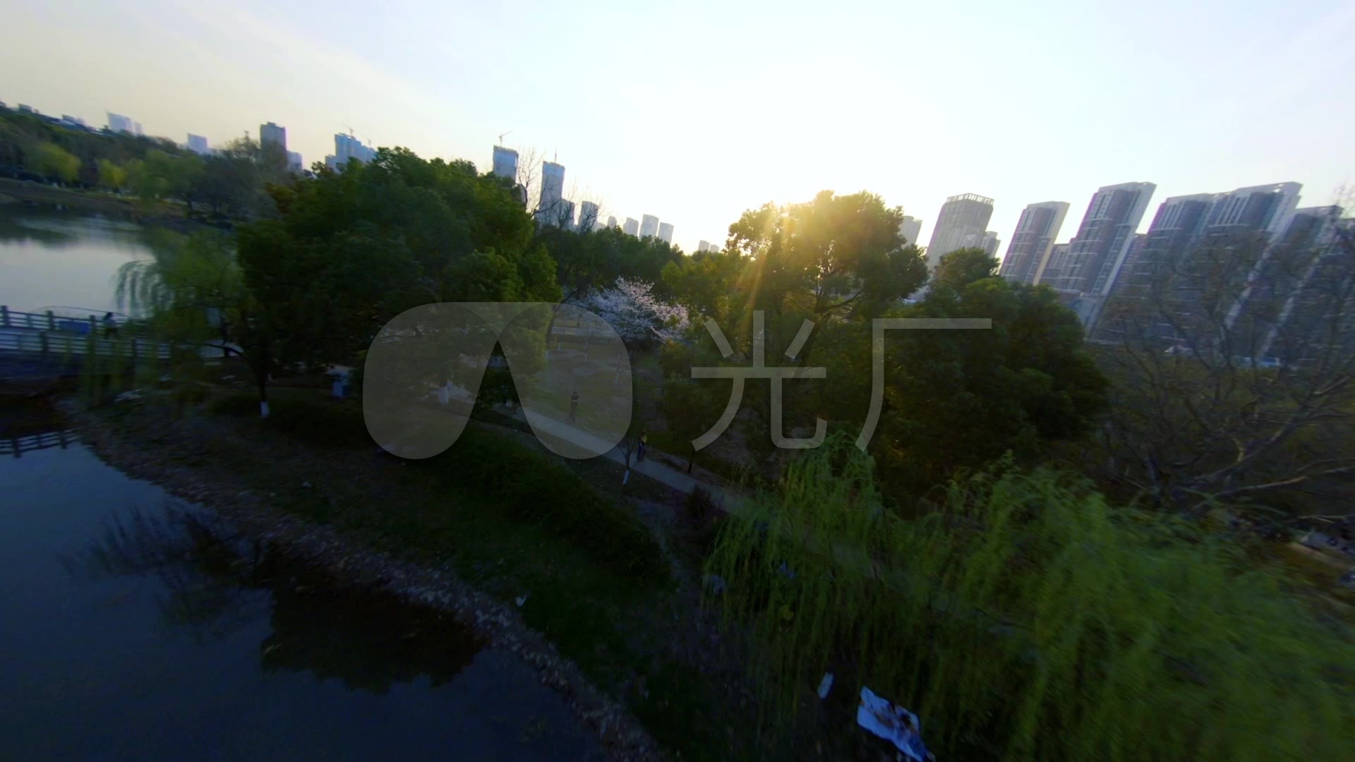 武汉堤角公园樱花 1920x1080 高清视频素材下载 编号 7527670 实拍视频 光厂 Vj师网
