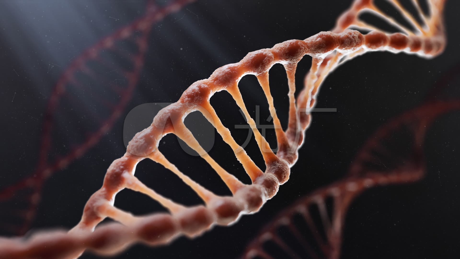 DNA_1920X1080_高清视频素材下载(编号:9011458)_实拍视频_光厂(VJ师网) www.vjshi.com