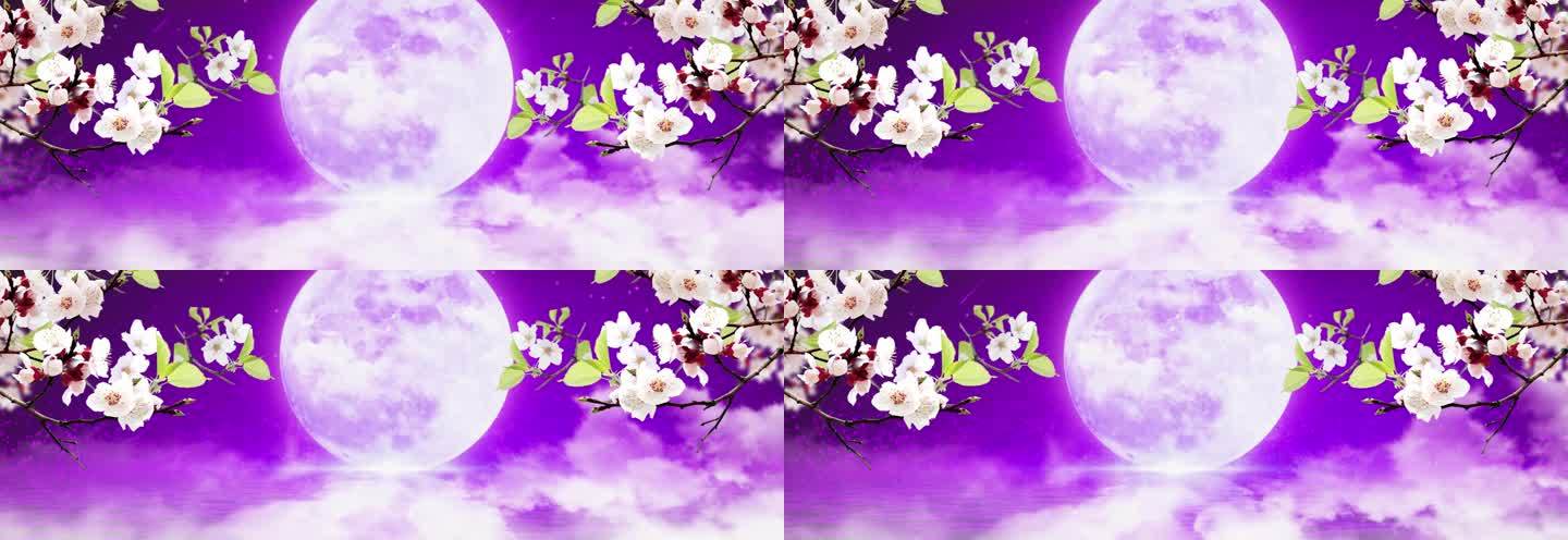 大唐贵妃—梨花颂高清ae模板下载编号9122414ae模板光厂vj师网