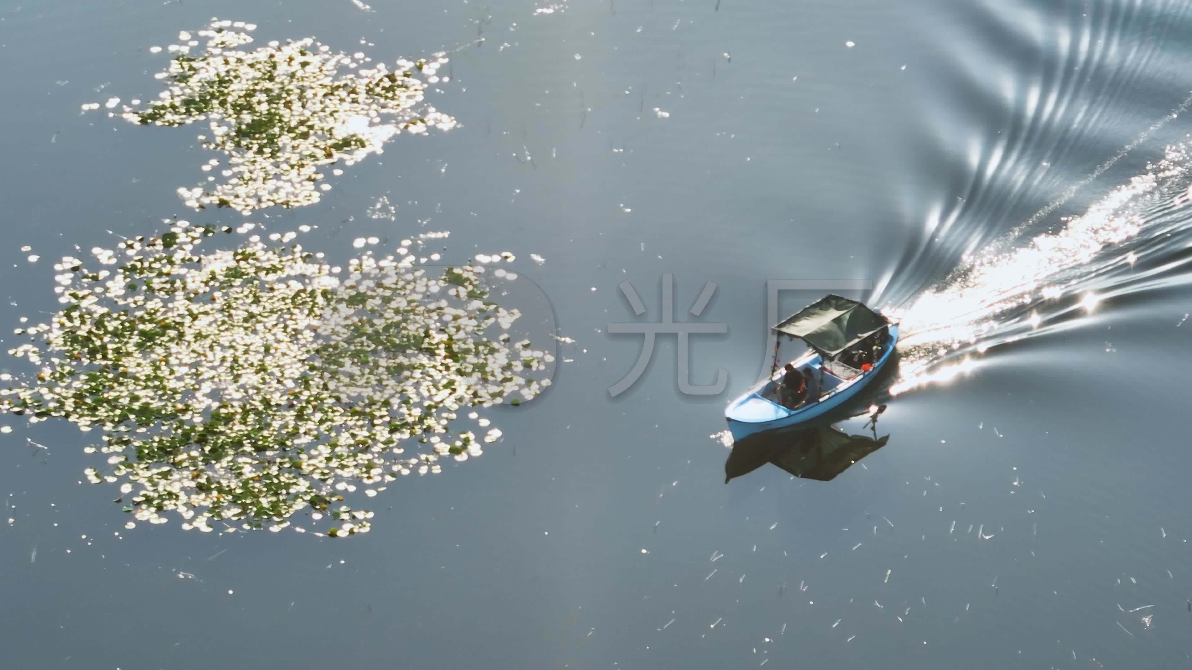 船与人一起在湖上航行的鸟瞰图，船穿过芦苇，人们乘船旅行，木船旅行，船上的人与芦苇和荷花在湖上，独木舟3840x2160高清视频素材下载