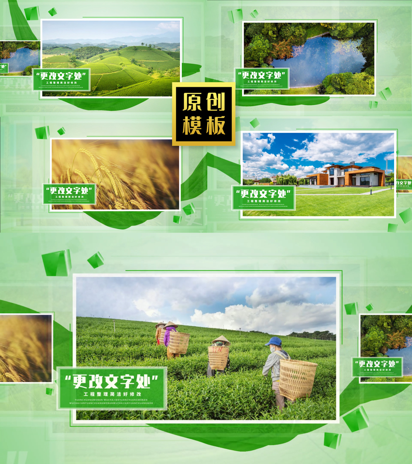 48图绿色生态环保图文介绍照片展示模板 Ae模板下载
