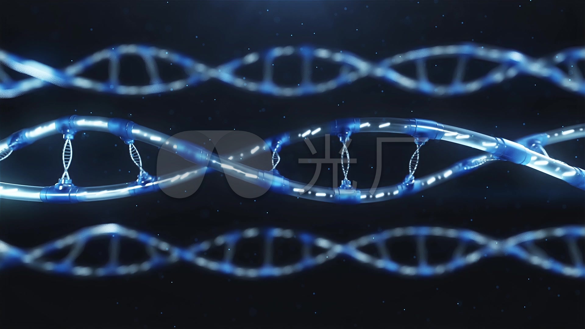 C4D+AE生物技术医学健康三维DNA_AE模板下载(编号:9719153)_AE模板_光厂(VJ师网) www.vjshi.com