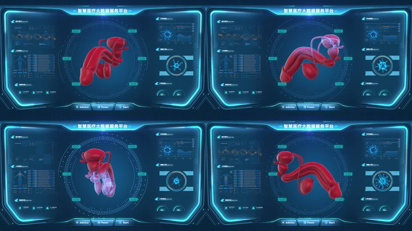 人体HUD_全息大脑_HUD生殖器_AE模板下载_编号:9769905_光厂(VJ师网) www.vjshi.com