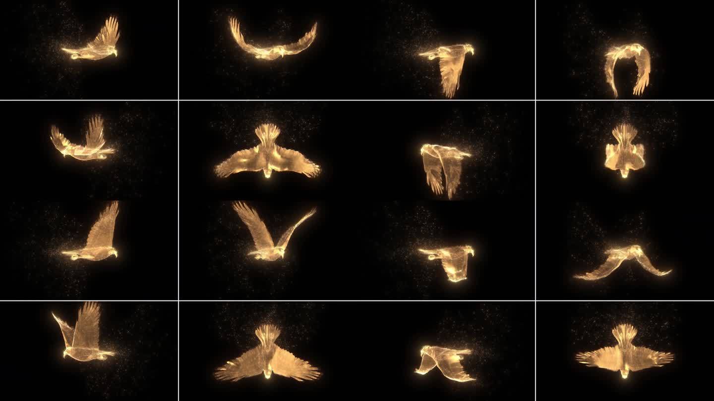 E3D金色老鹰工程_AE模板下载