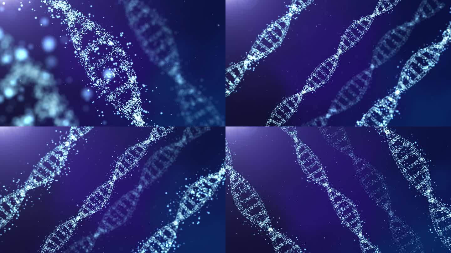 DNA模板_AE模板下载