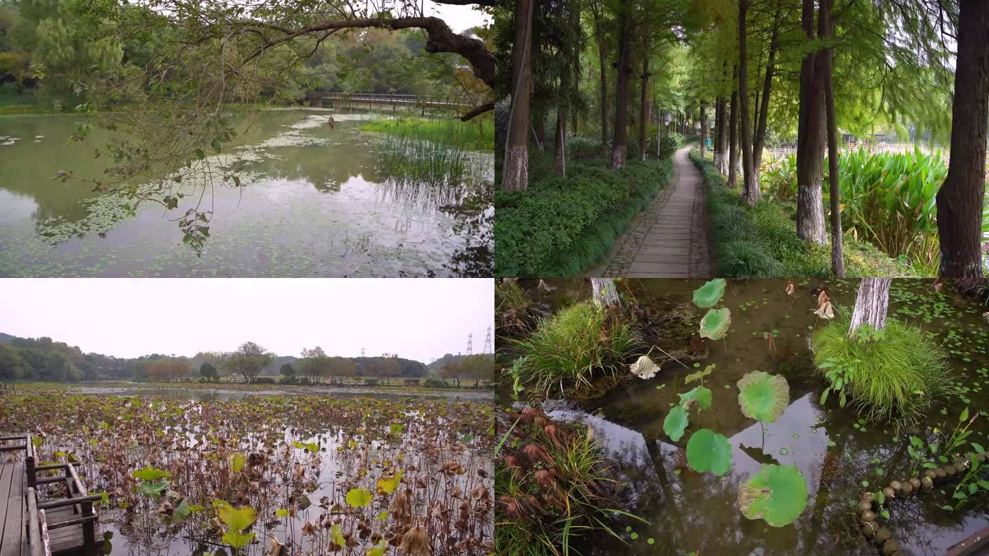 浙江杭州玉皇山八卦田遗址公园4k视频合集 视频素材下载 编号 10334461 光厂 Vj师网