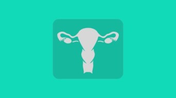 子宫动画4k分辨率_3840X2160_高清视频素材下载(编号:20179695)_全部_光厂(VJ师网) www.vjshi.com