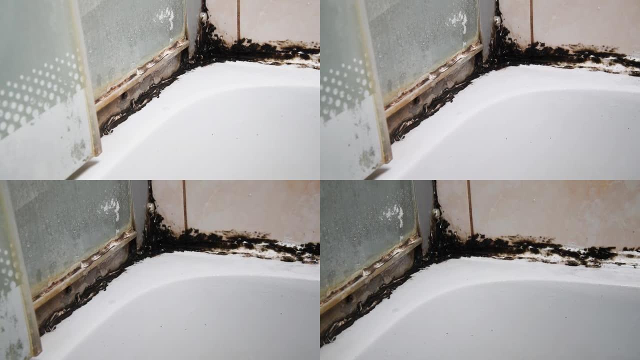 硅胶密封剂发霉。淋浴间的霉菌。潮湿和潮湿视频素材下载编号15921033光厂vj师网