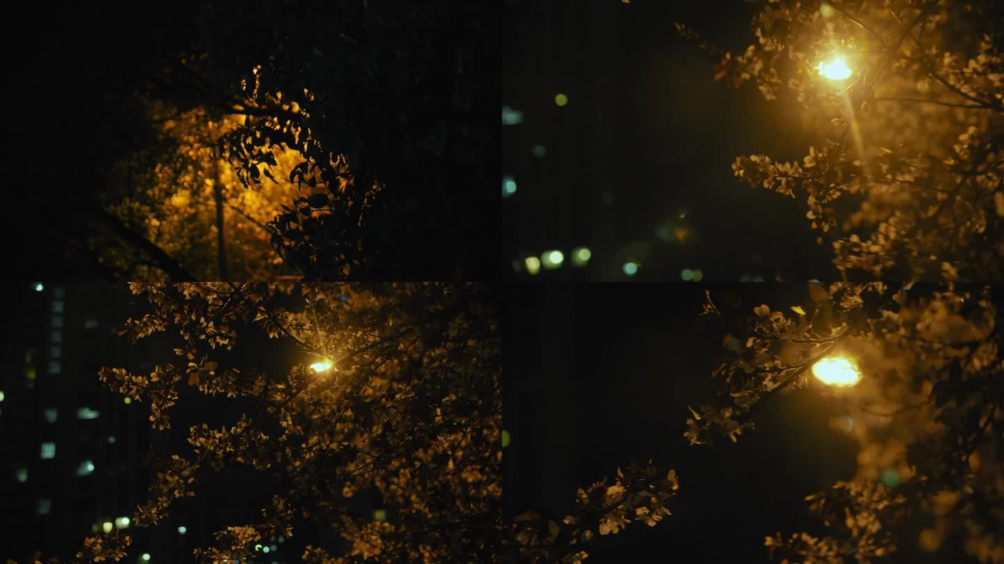 夜灯下的树叶微微摇动视频素材下载 