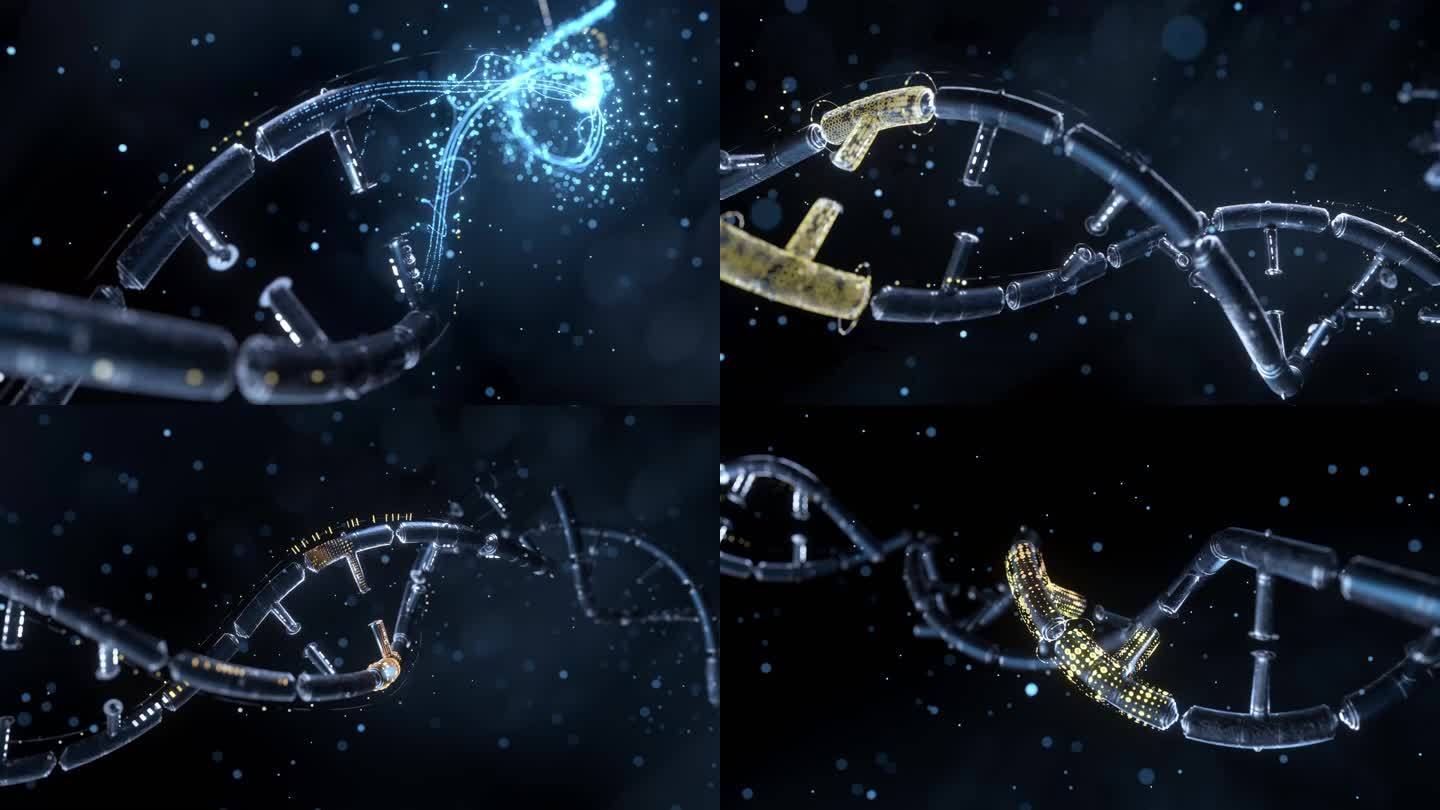 科技螺旋DNA动画_c4d工程_C4D模型下载