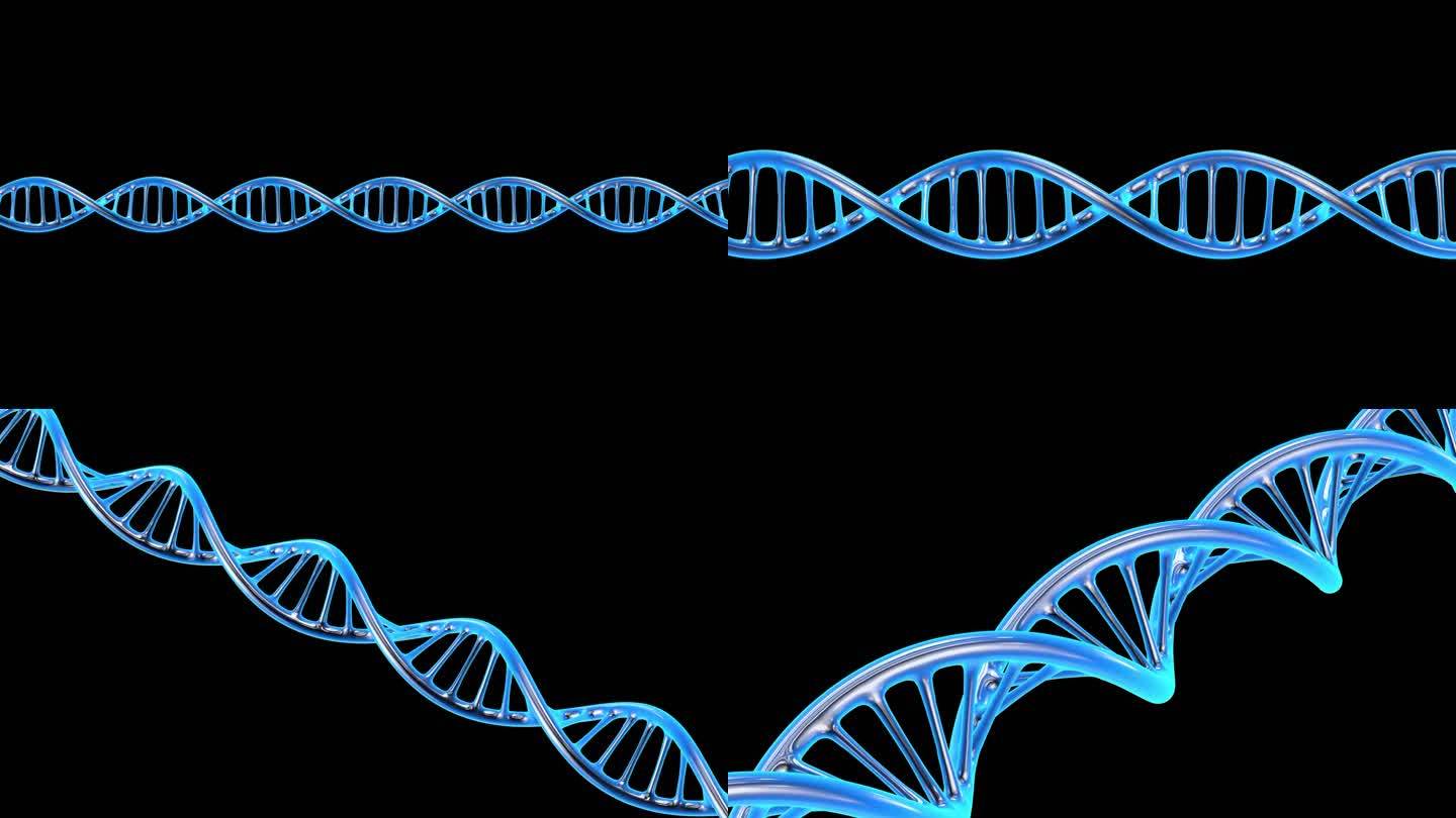 DNA基因分子透明背景AE工程_AE模板下载
