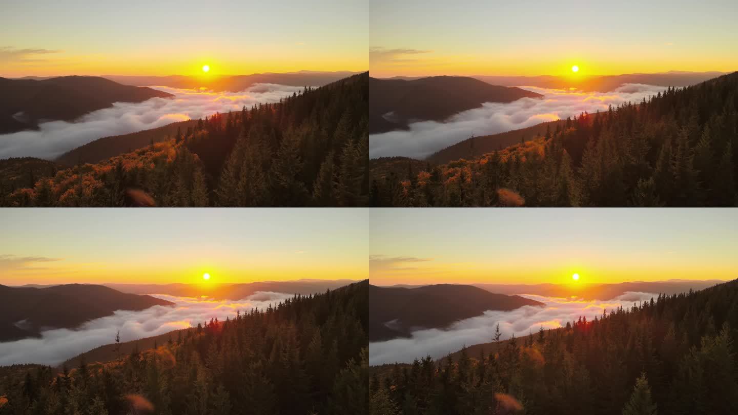 秋天日出的时候空中看到了在黑暗的山林上明亮的雾蒙蒙的早晨黎明时分野林的美丽景色1920x1080高清视频素材下载编号24637250实拍视频光厂vj师网