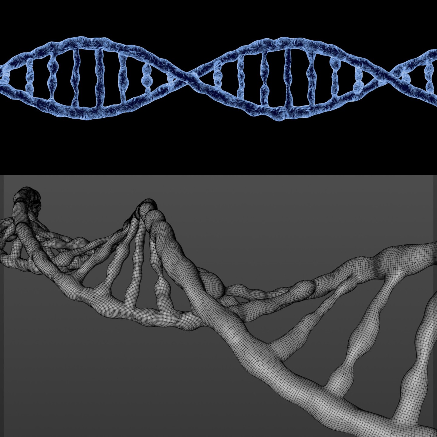 DNA脱氧核糖核酸C4D工程和成品视频_C4D模型下载