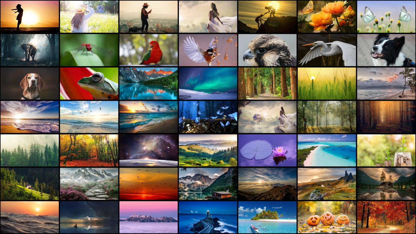 分屏AE_4K_AE模板下载