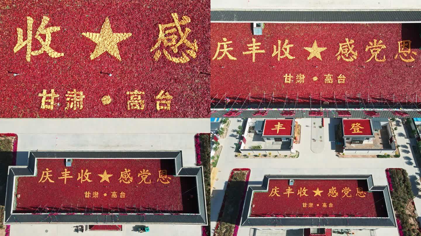 庆丰收_视频素材下载