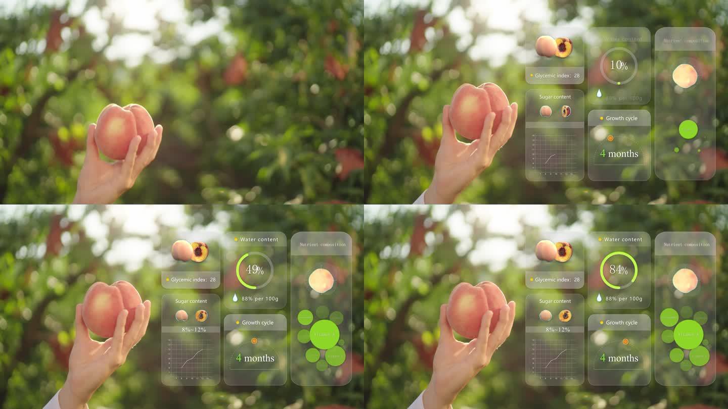 4K智能科技界面HUD_AE模板下载