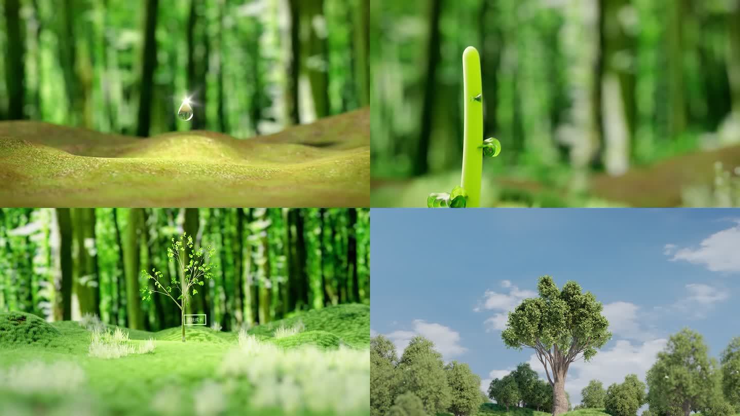 树苗生长动画ae加c4d文件_C4D模型下载