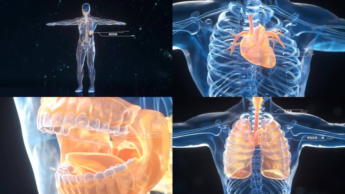 科技人体扫描AEc4d工程文件_C4D模型下载