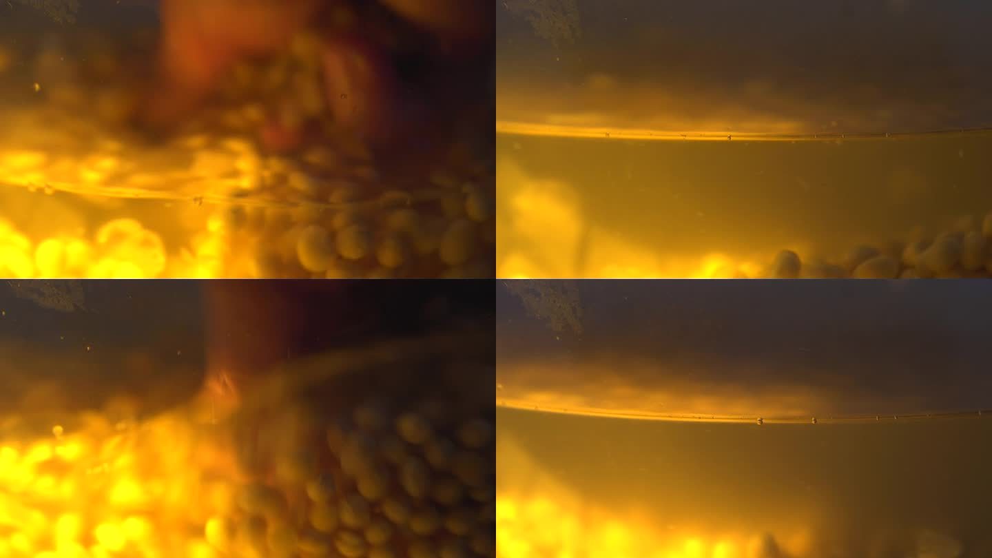 浸泡大豆_视频素材下载